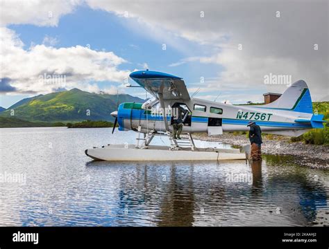 Bush Pilot And Guide Rolan Ruoss Sea Hawk Air De Havilland Beaver
