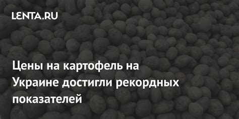 Цены на картофель на Украине достигли рекордных показателей Украина
