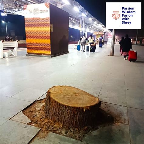 Shrey Srivastava On Linkedin Often We Come Across How Civilization Turns Out To Be A Tragedy