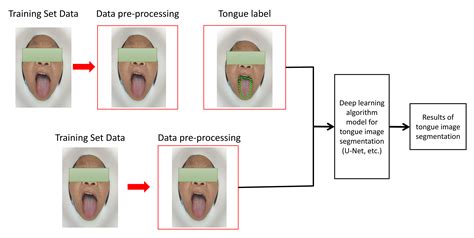 Objectification Of Tongue Diagnosis In Traditional Medicine Data