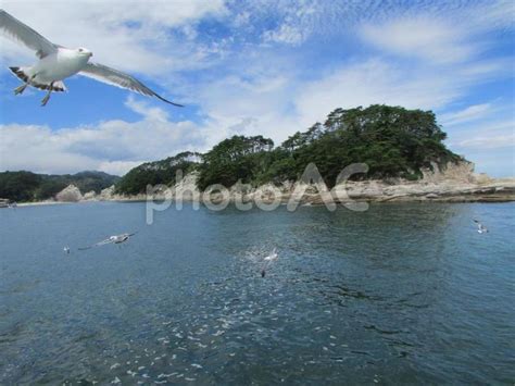 遊覧船からの浄土ヶ浜岩手県宮古市 No 24711161写真素材なら写真AC無料フリーダウンロードOK