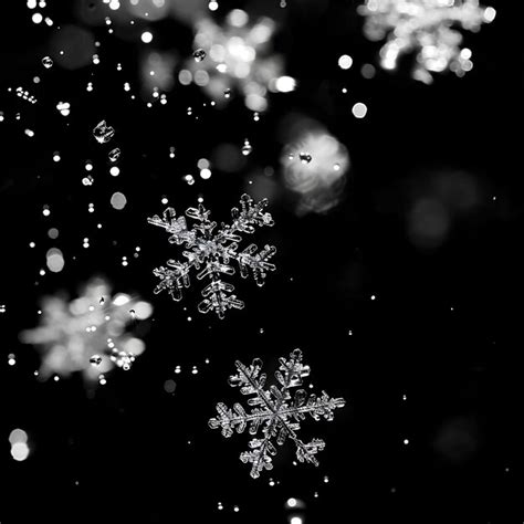 Premium Photo Snowflake Rain With Crystal Clear And Bright White