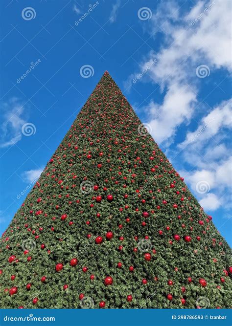 Giant Christmas Tree Red Balls Stock Image Image Of Night Cathedral 298786593