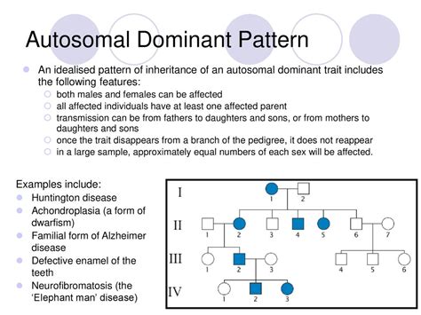 Sex Linkage And Pedigrees Ppt Download