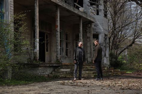 ateş kuşları 14 foto galeri