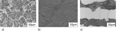 Initial Microstructures After Annealing At 1050 °c20 Min 1°cs Ab