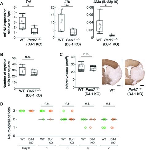 Dj 1 Deficiency Decreased The Inflammatory Cytokine Expression But Not