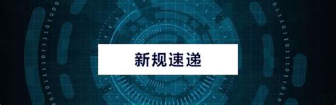 新规速递：民法典有关担保制度司法解释亮点解读 知乎