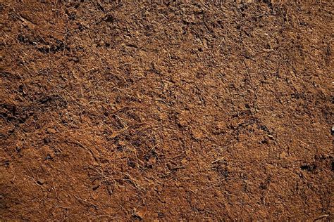 Latar Belakang Latar Belakang Pola Tekstur Substratum Untuk Pertanian