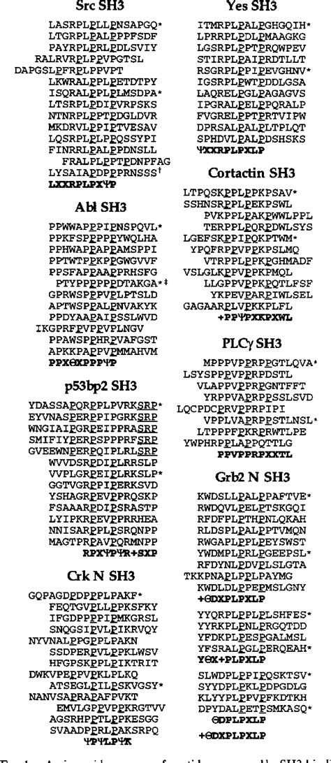Figure 1 From Distinct Ligand Preferences Of Src Homology 3 Domains From Src Yes Abl