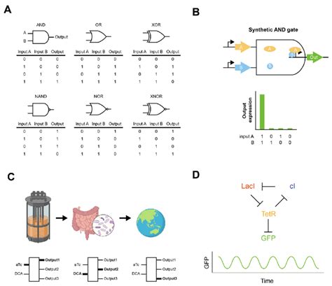 A Logic Gates And Their Truth Tables B One Example Of The Download Scientific Diagram