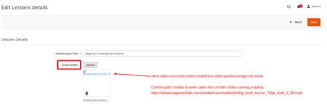 how to show custom video preview in admin form in magento 2 magento