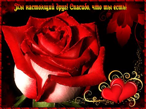Картинки Спасибо тебе за то что ты есть в моей жизни