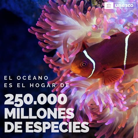 UNESCO en español Educación Ciencia Cultura on Twitter RT