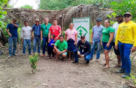 Agricultores De Ipixuna Do Pará Recebem Orientações Sobre Técnicas De