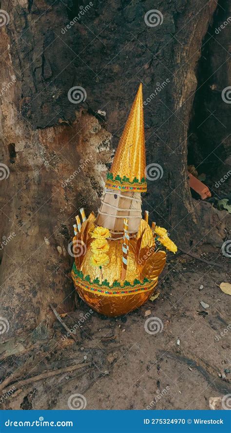 Foto Vertical De Um Tartaruga Dourado No Camboja Kampot Imagem