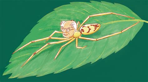 Fifteen New Species Of ‘smiley Faced Spiders Discovered Biology