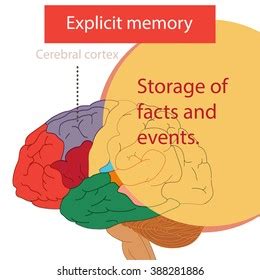 14 Explicit Memory Images Stock Photos Vectors Shutterstock