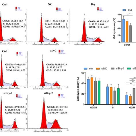 Rna Sequence And Chip Sequence Analyses Of Mda Mb 231 Cells A Heat