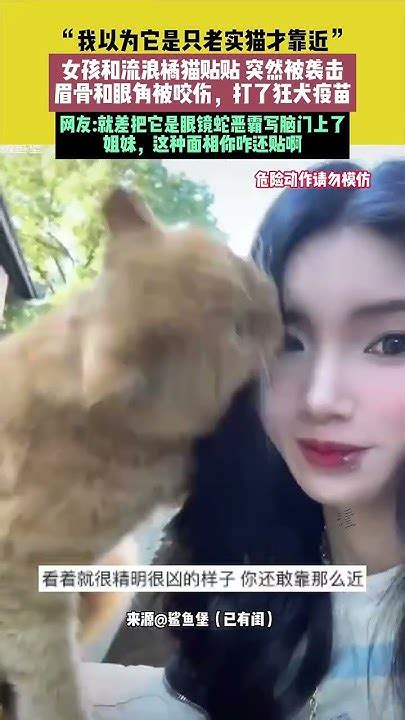 女孩和流浪橘猫贴贴，突然被袭击，眉骨和眼角被咬伤 网友这猫一看表情就是丧彪 Youtube