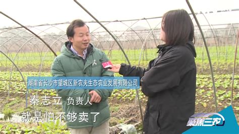 聚焦三农 淘菜菜：稳供保价 引领新消费革命凤凰网视频凤凰网