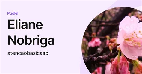 Eliane Nobriga Atencaobasicasb Profile Padlet