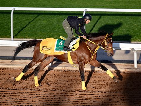 サウジc出走予定馬の近況 ウシュバテソーロ騎乗の川田騎手「とても雰囲気良く来れている」 競馬ニュース Netkeiba