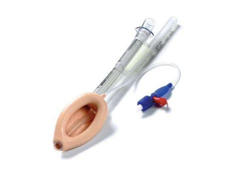 Difficult Airway Ppt