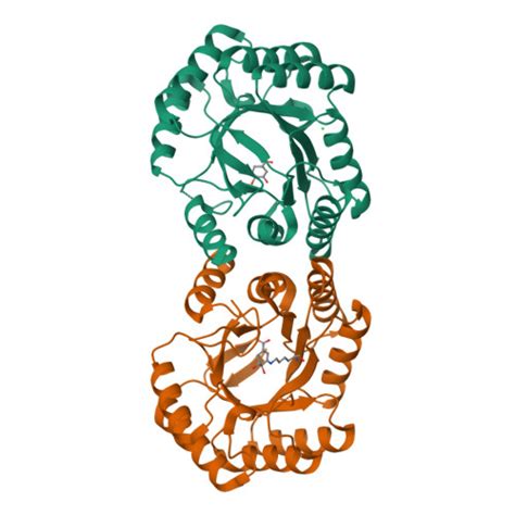 Rcsb Pdb 4gug 162 Angstrom Crystal Structure Of The Salmonella