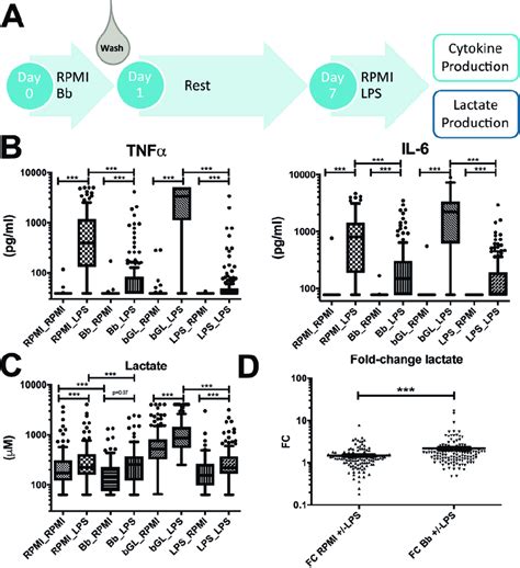 Inflammatory Response Of Primary Monocytes After Exposure To B