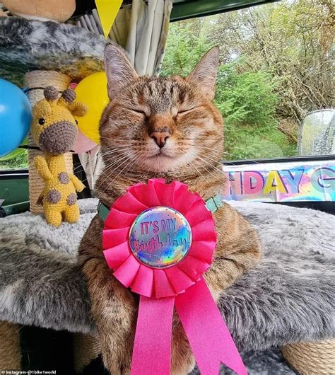 Scottish Man Reveals Hes Traveled To 29 Countries With His Cat Daily