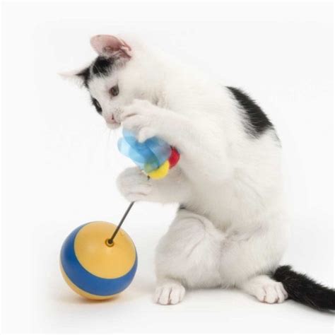 Catit Interactive Cat Toy Tumbler Bee Pawtastic