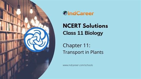 NCERT Solutions For Class 11 Biology Chapter 11 IndCareer Schools