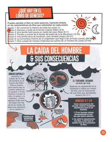 Los Libros De La Biblia Explicados En Gráficos A T 8332 En