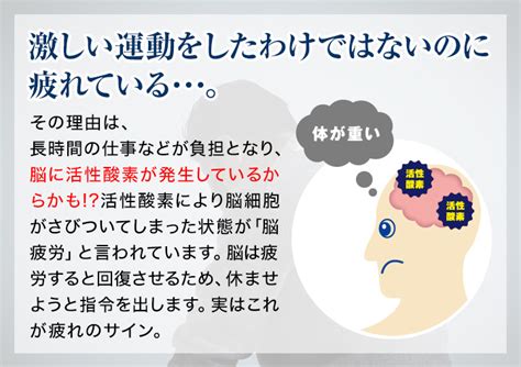 【dhc】疲れがとれない理由は、脳にあった 脳疲労には「〇〇」がおすすめ！