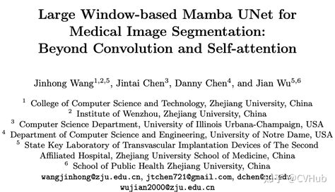 LMa UNet 探索大kernel Mamba在医学图像分割上的潜力 知乎