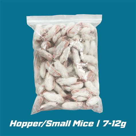 Frozen Small Mice Hoppers 100 Count Polar Rodents