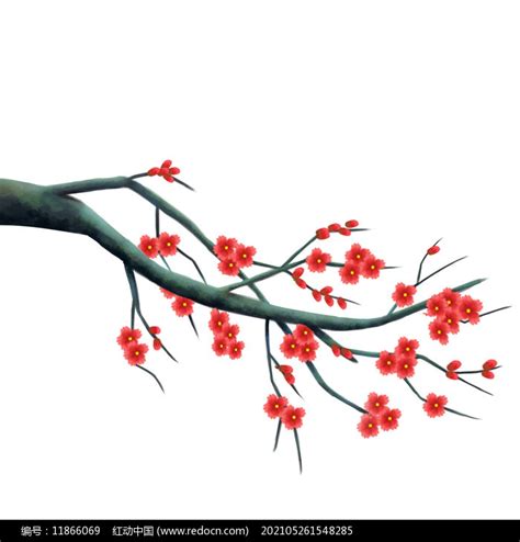 梅花枝头图片下载 红动中国