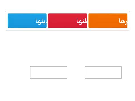 درس من أسماء الله تعالى العليم الحكيم صف3 الباب2 Palabra Perdida