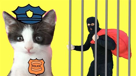 Mis gatos graciosos Luna y Estrella encierran al ladrón en la cárcel Funny cats YouTube