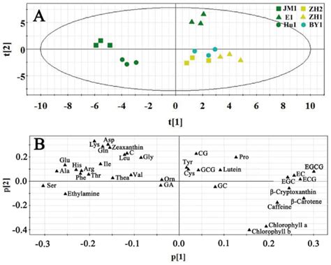 Pca Score Plot A And Corresponding Opls Da Loading Plot B Derived
