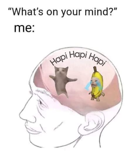 Hapi Hapi Hapi Hapi Hapi 👌😺 Rwholesomememes