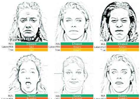 Visual Prediction Results Of Examples On Ck Dataset Without And With Download Scientific