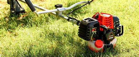 What Tools To Use In Your Garden During Spring News Echo