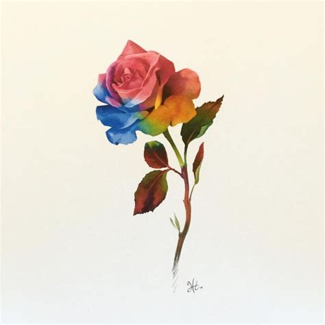 Rose Tattoo Design 오색 장미 타투 그라피투 타투이스트리버 디자인 그림 디자인 장미 장미타투 Tattoo Graffittoo