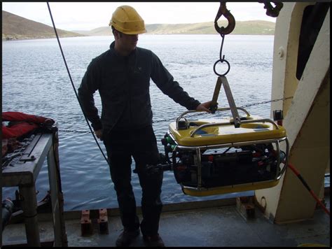 Renewable Energy Environmental And Oceanographic Survey Sectors Marine Mammal Observation Cp