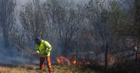 Se Reactivaron Los Incendios En Las Islas Brigadistas Combaten El