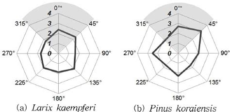 Spatial Distribution Of The Number Of Roots In Root Plate The