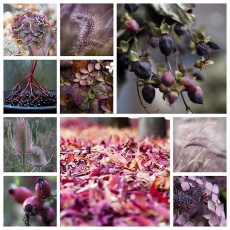 Autumn Plum Color Scheme For Art Projects