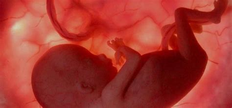 Apa Benar Sebelum Lahir Di Dunia Kita Ditanya Oleh Malaikat 77 Kali